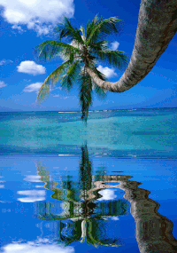 Paisajes GIFs - Get the best gif on GIFER