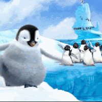 Pinguine GIFs - Get the best gif on GIFER