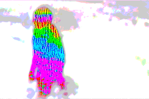 Hang ten GIFs - Get the best gif on GIFER