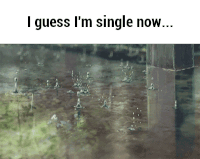 Guesses GIFs - Get the best gif on GIFER