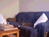 Unemployment GIFs - Get the best gif on GIFER