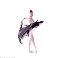 Ballet GIFs - Get the best gif on GIFER