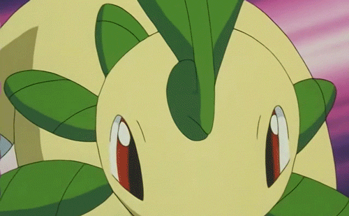 Bayleef GIFs - Get the best gif on GIFER