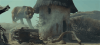 10000 GIFs - Get the best gif on GIFER