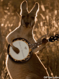 Australia GIFs - Get the best gif on GIFER