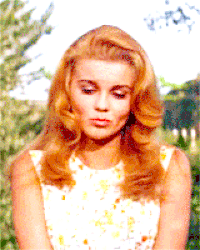 Ann margret GIFs - Get the best gif on GIFER