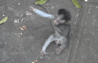 The best hug GIFs - Hole dir die besten GIFs auf GIFER