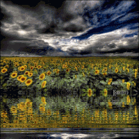 Paysage GIFs - Obtenez le meilleur gif sur GIFER