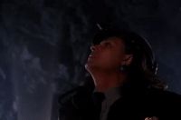 Falke GIFs - Get the best gif on GIFER