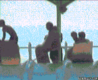 Eggroll GIFs - Get the best gif on GIFER