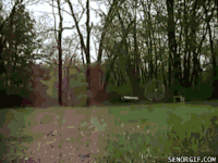 Roll up GIFs - Get the best gif on GIFER