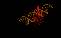 Dna GIFs - Get the best gif on GIFER