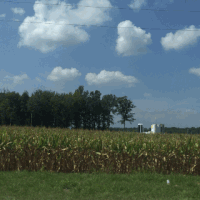 Fields GIFs - Get the best gif on GIFER