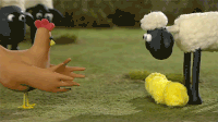 Pollito GIFs - Get the best gif on GIFER