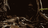 Fungi GIFs - Get the best gif on GIFER