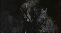 Everyone just stahp it GIF - Conseguir o melhor gif em GIFER