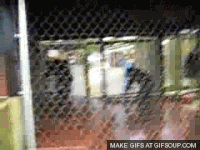 Poop GIFs - Get the best gif on GIFER