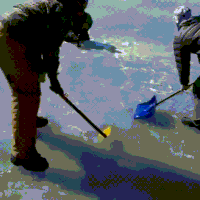 Curl GIFs - Get the best gif on GIFER