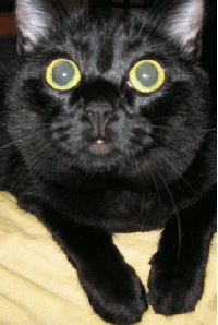 Completed GIFs - Get the best gif on GIFER