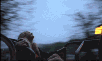 Carousel GIFs - Get the best gif on GIFER