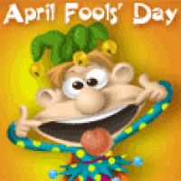 Fool GIFs - Get the best gif on GIFER