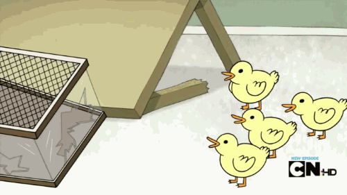 Bunch of baby ducks GIF - Conseguir o melhor gif em GIFER
