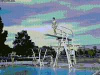 Diving GIFs - Get the best gif on GIFER