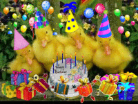 Ducklings GIFs - Get the best gif on GIFER