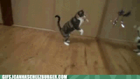 Errr GIFs - Get the best gif on GIFER
