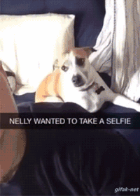 But First Let Me Take A Selfie Gif