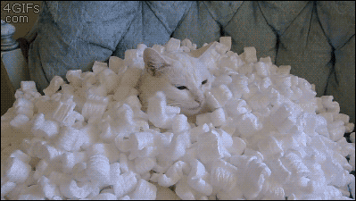Styrofoam GIFs - Get the best gif on GIFER