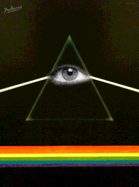 Nwo GIFs - Get the best gif on GIFER