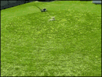 Mower GIFs - Get the best gif on GIFER