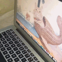 Pa GIFs - Get the best gif on GIFER