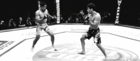 Kick boxing GIFs - Get the best gif on GIFER