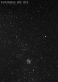 Celestial GIFs - Get the best gif on GIFER