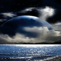 Miscellaneous GIFs - Get the best gif on GIFER