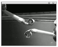 Sondra GIFs - Get the best gif on GIFER