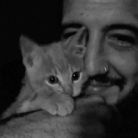 Tp GIFs - Get the best gif on GIFER