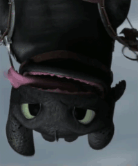 Toothless GIFs - Get the best gif on GIFER