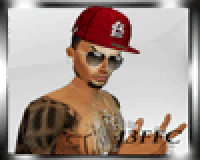 Cardinal GIFs - Get the best gif on GIFER