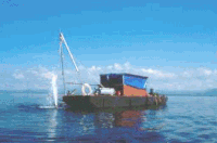 Exploitation GIFs - Get the best gif on GIFER