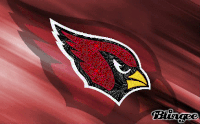 Cardinal GIFs - Get the best gif on GIFER