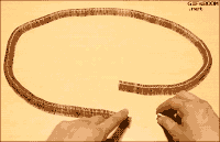 Coil GIFs - Get the best gif on GIFER