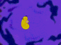 Evolution GIFs - Get the best gif on GIFER