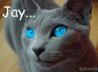 Helper GIFs - Get the best gif on GIFER