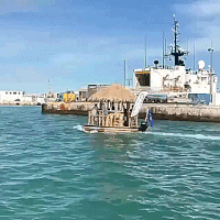 Tiki GIFs - Get the best gif on GIFER