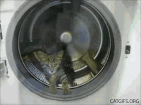 Dryers GIFs - Get the best gif on GIFER
