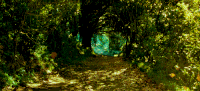 Wald GIFs - Get the best gif on GIFER