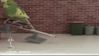 Nudge GIFs - Get the best gif on GIFER